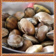 FL Stone Crab Delivered – FLORIDA STONE CRAB